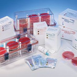 Indicator Strips Gaspak Dry Anaerobic (100pk)